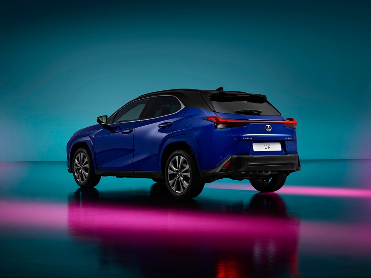 De nieuwe Lexus UX 300h: meer vermogen in 2024 | Lexus.nl